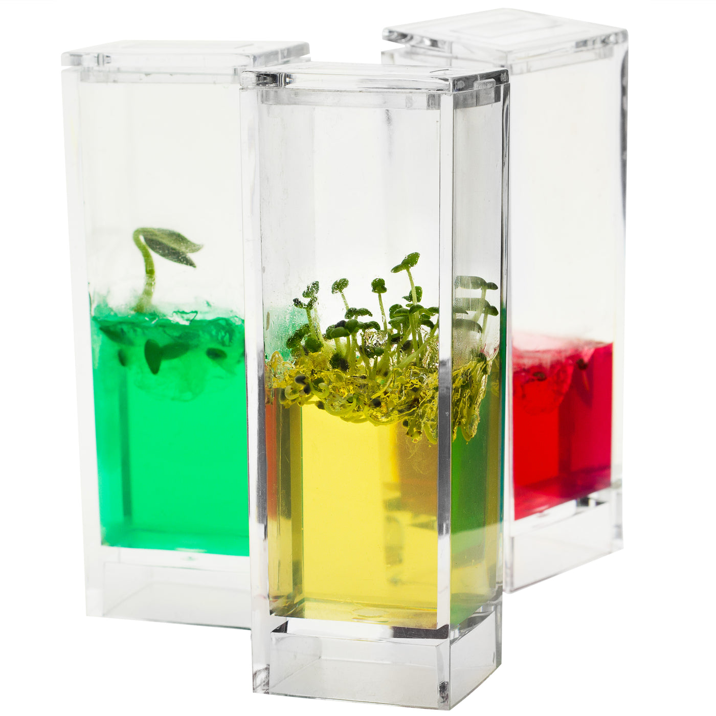 Plantarium Garden Lab — getDigital