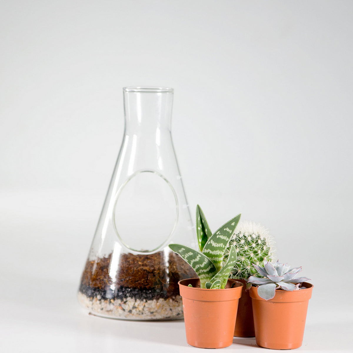 Lab Glass Terrarium Plant Set — getDigital